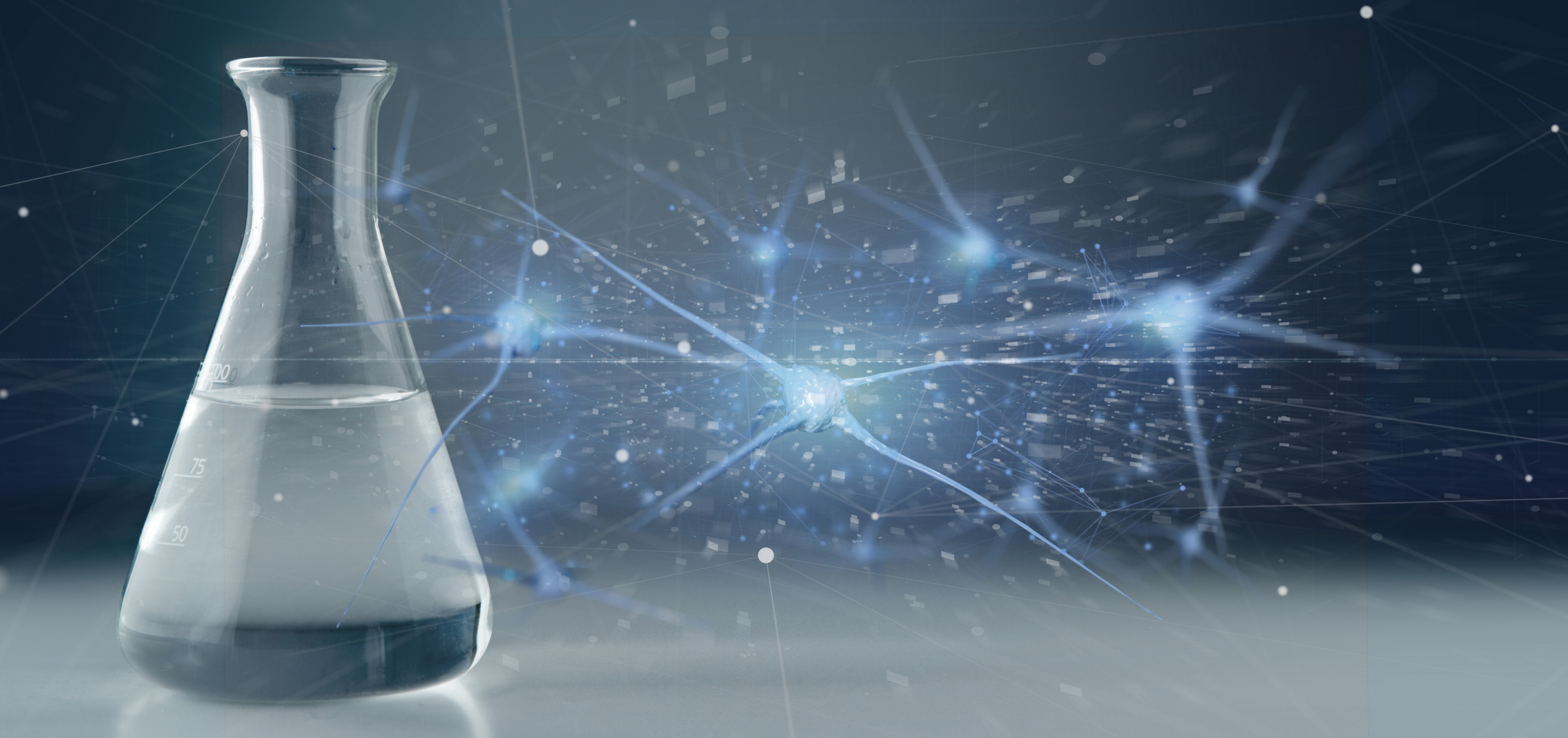 Our Center - Novel Mind & Wellness Center in Tallahassee, FL